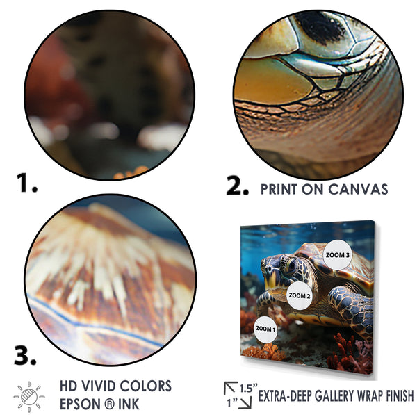 Curious Underwater Sea Turtle - Gray Turtle Wall Art – IDesignart ...